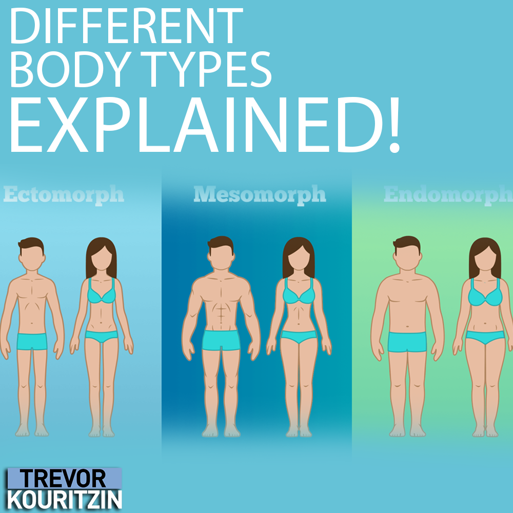 Different Body Types Explained Trevor Kouritzin Different Body Types Explained Trevor Kouritzin